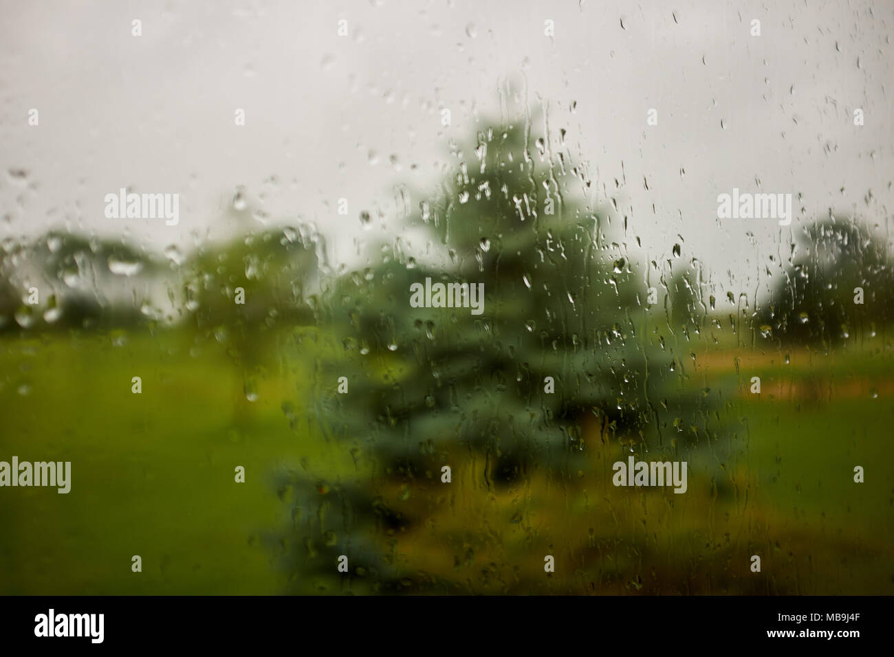View of countryside with trees in rain through a glass window with raindrops and rivulets of ...