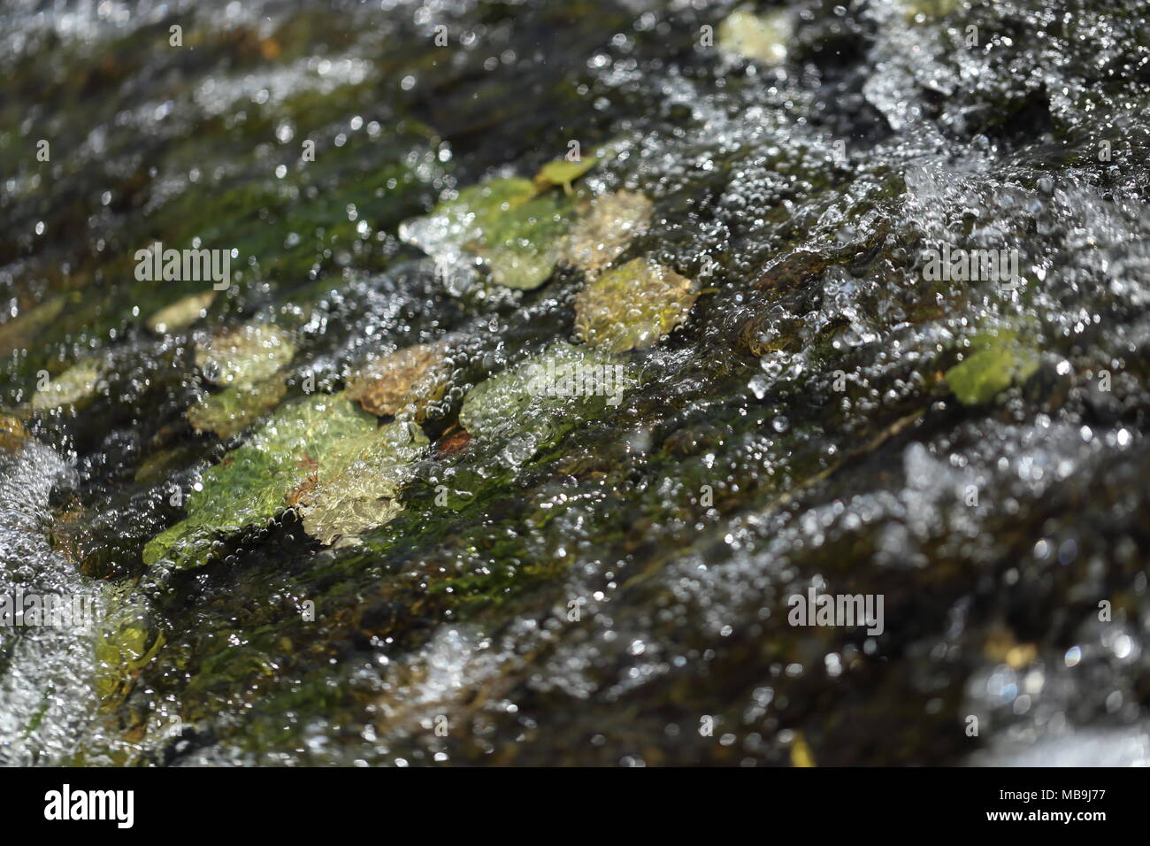 Floating elemental hi-res stock photography and images - Alamy