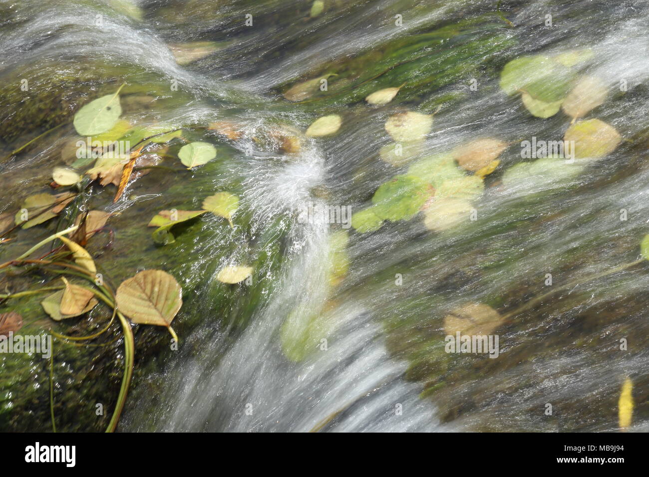 Floating elemental hi-res stock photography and images - Alamy