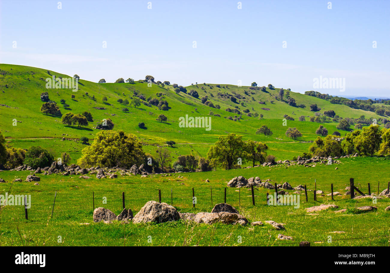 Lush Green Gentle Rolling Hills In Sierra Nevada Stock Photo - Alamy