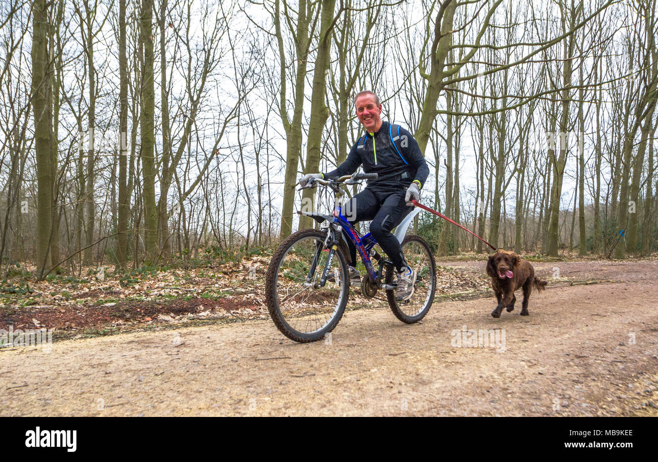 Cycle dog exercise hi-res stock photography and images - Alamy