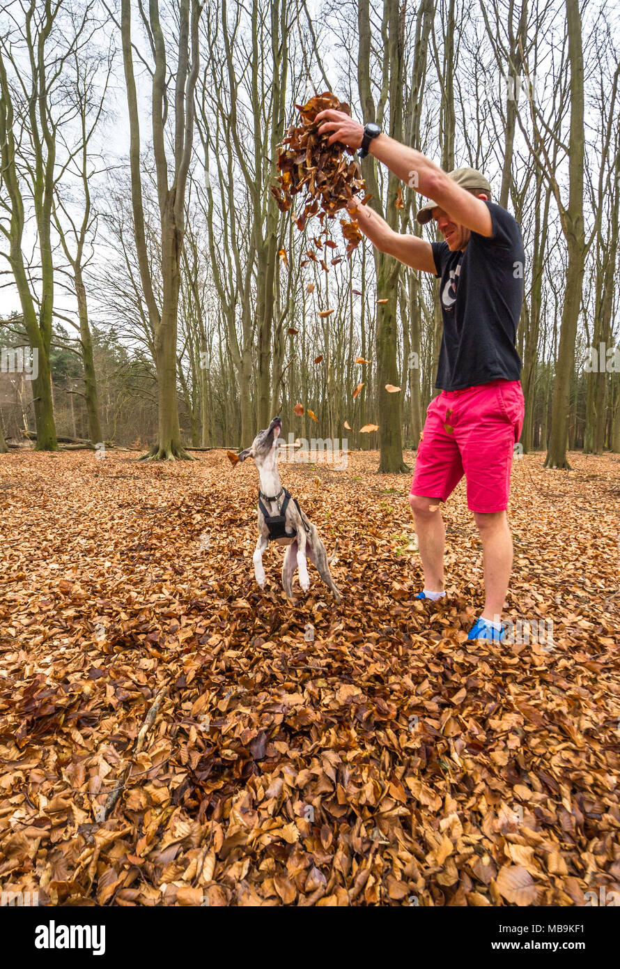 Throwing the leaves hi-res stock photography and images - Alamy