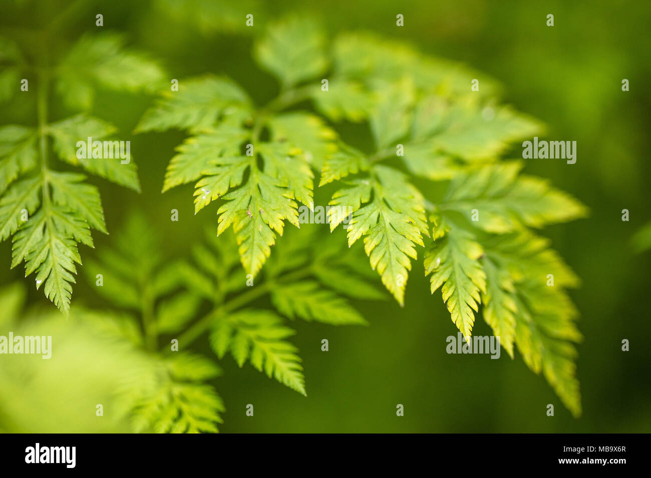 Nanpin, Nanpin, China. 7th Apr, 2018. Nanping, CHINA-7th April 2018 ...