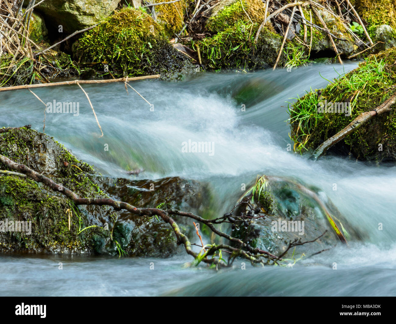 Wiesent river hi-res stock photography and images - Alamy