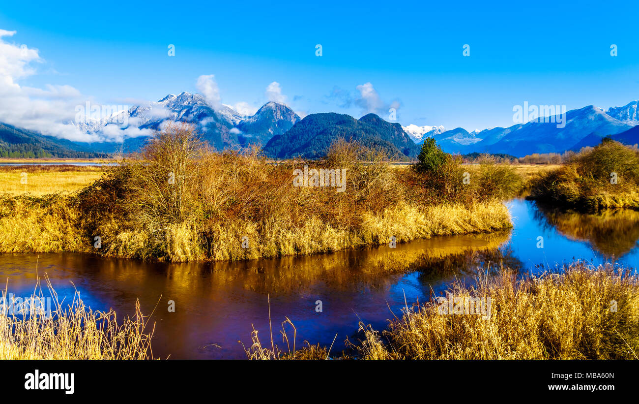 The snow covered Coast Mountains surrounding Pitt-Addington Marsh at ...