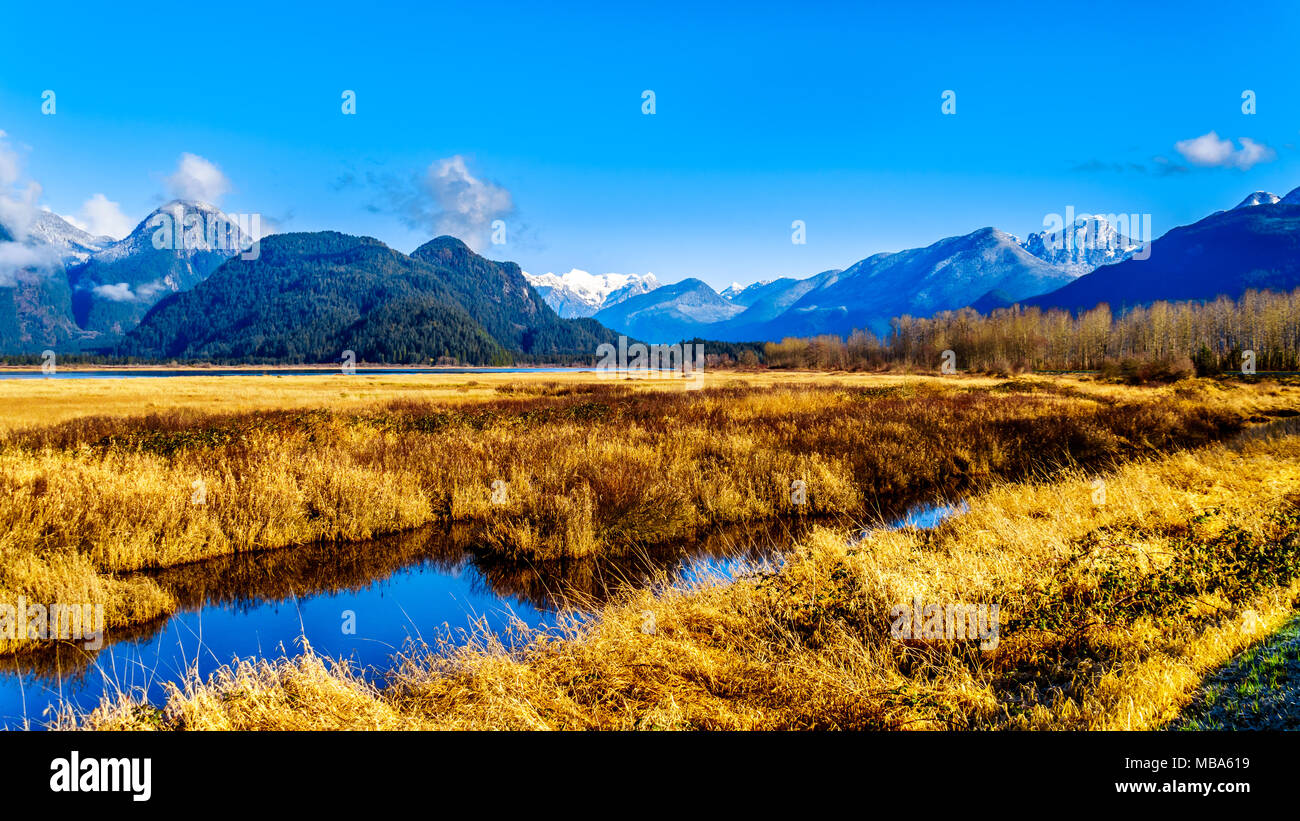 Coquitlam mountain hi-res stock photography and images - Alamy