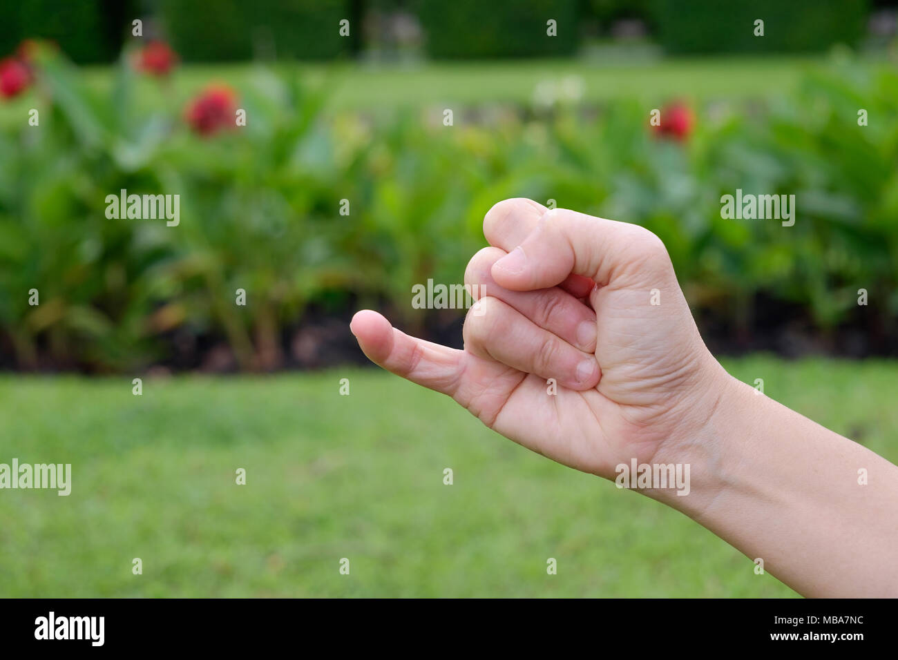 Woman hands showing little finger on green park background, gesture of ...