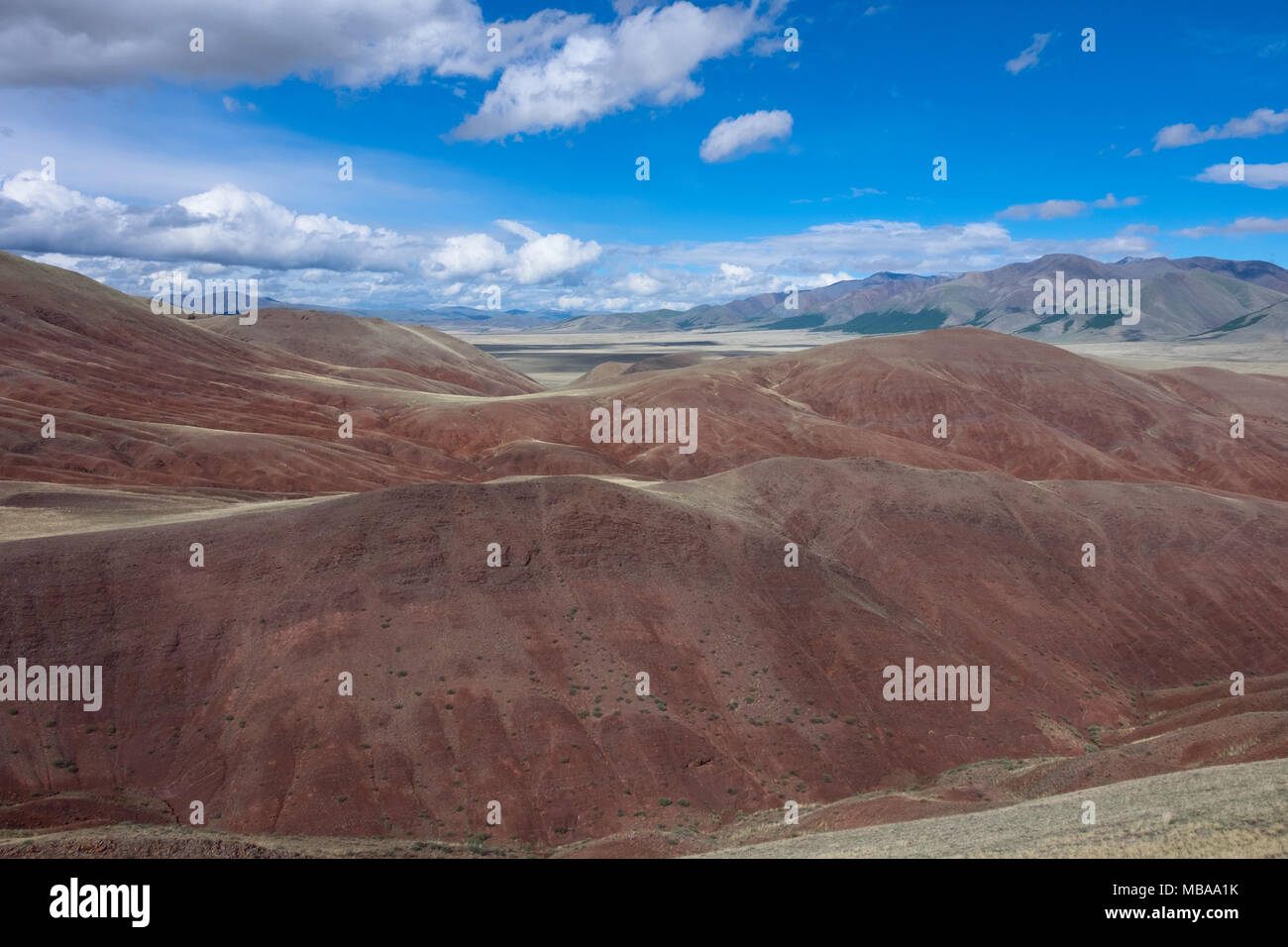 Red soil and Golden grass. Velvet landscape Stock Photo - Alamy