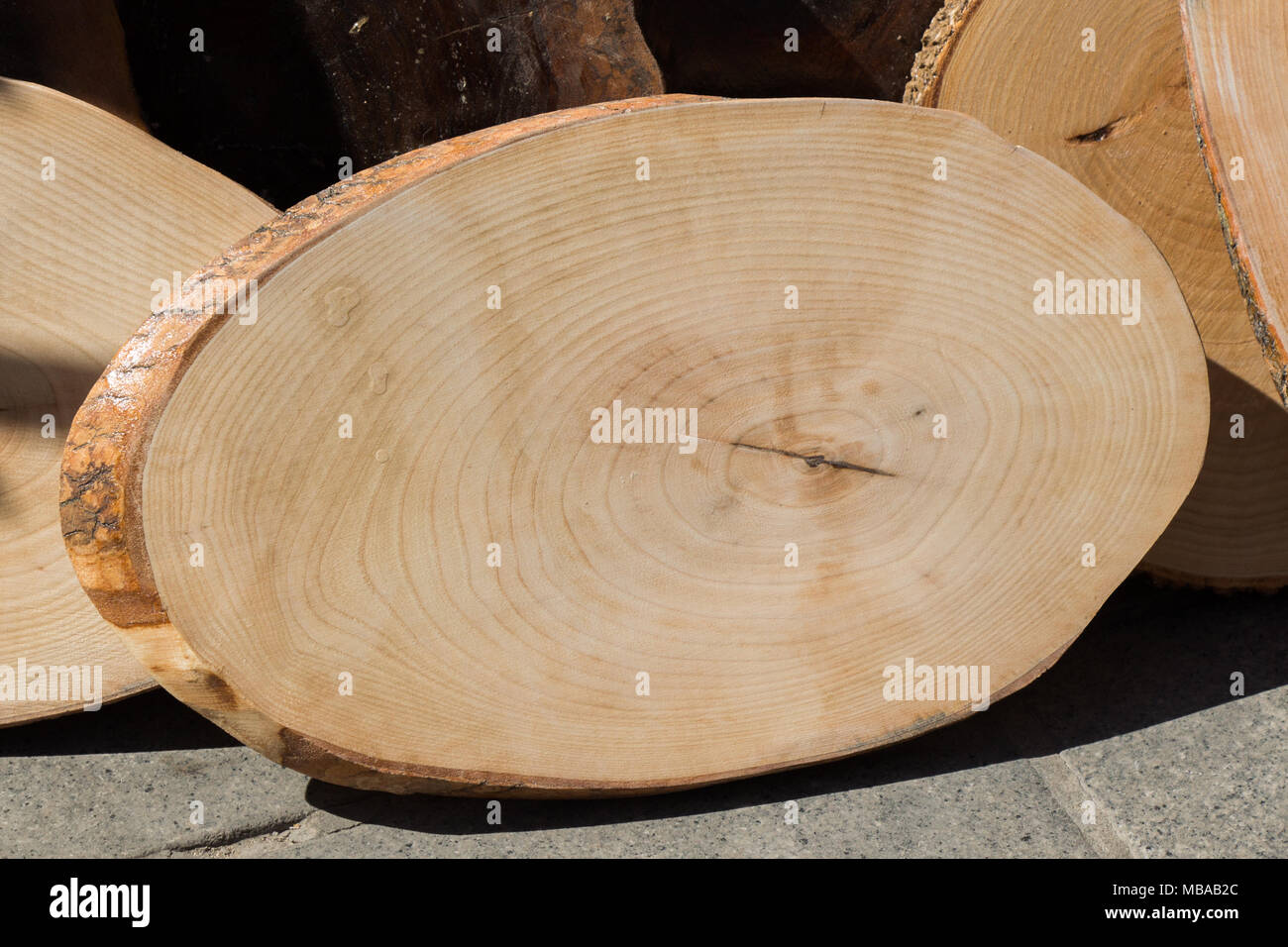 Piece of cut wood log texture as background Stock Photo - Alamy