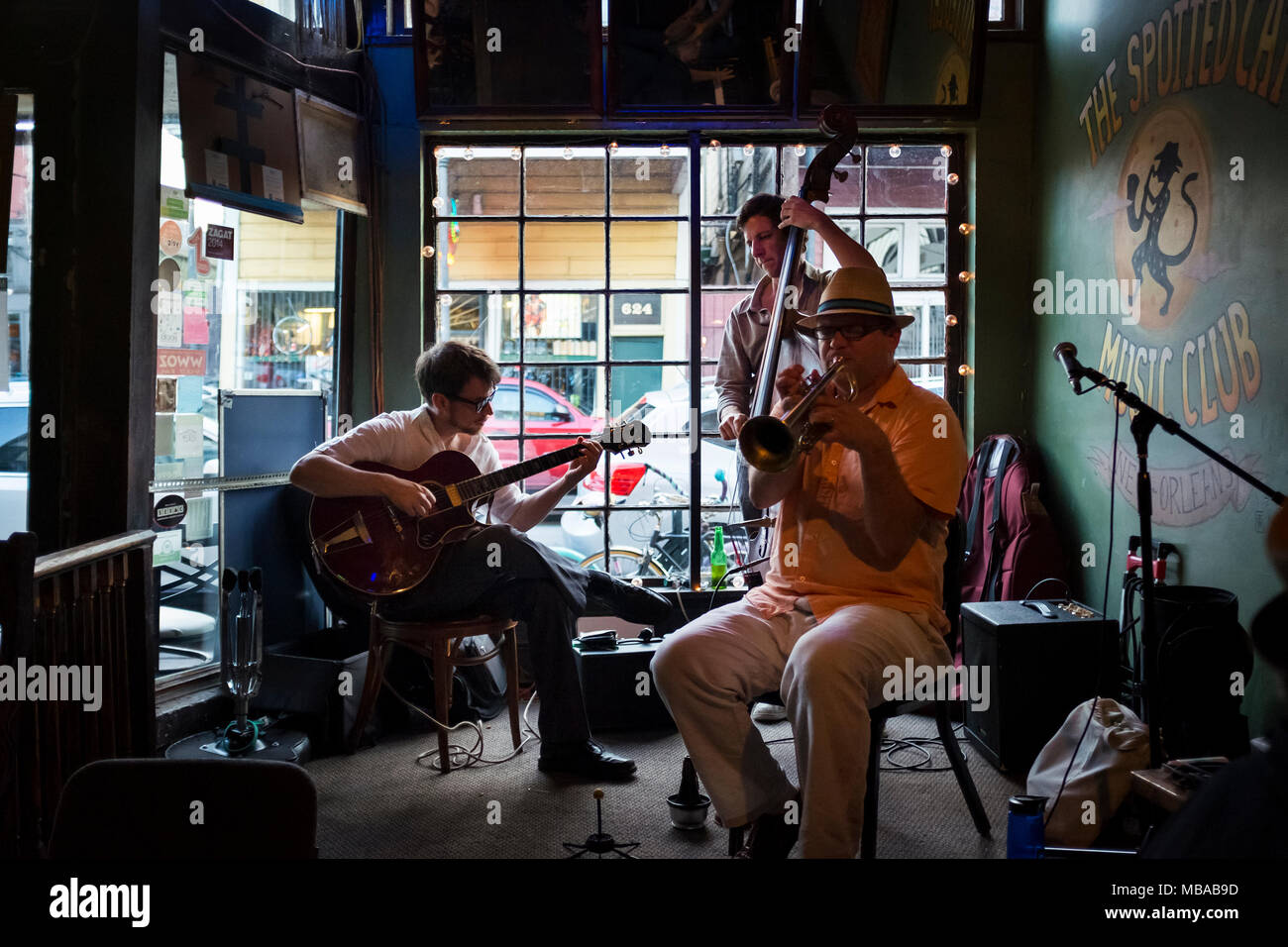 Cat band playing musical instruments hi-res stock photography and ...