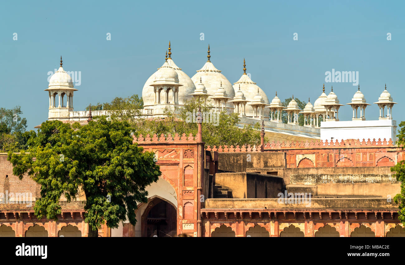 Moti masjid red fort hi-res stock photography and images - Alamy