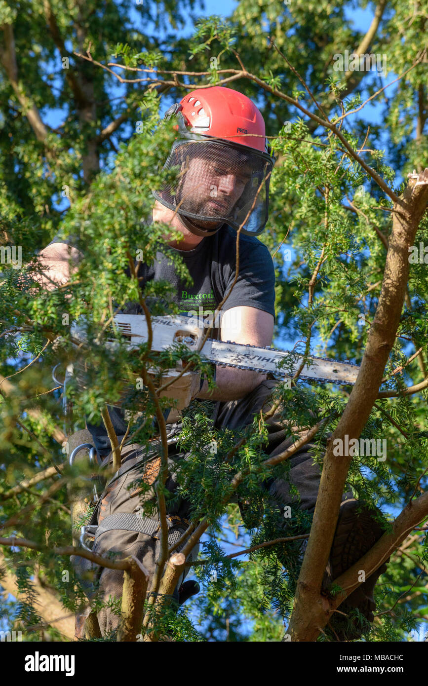 Health and safety conditions skilled workman hi-res stock photography ...