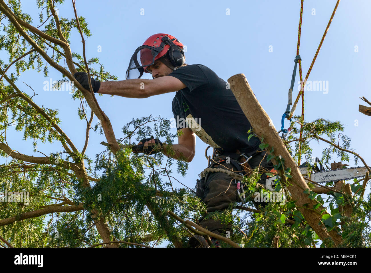 Native helmet hi-res stock photography and images - Alamy