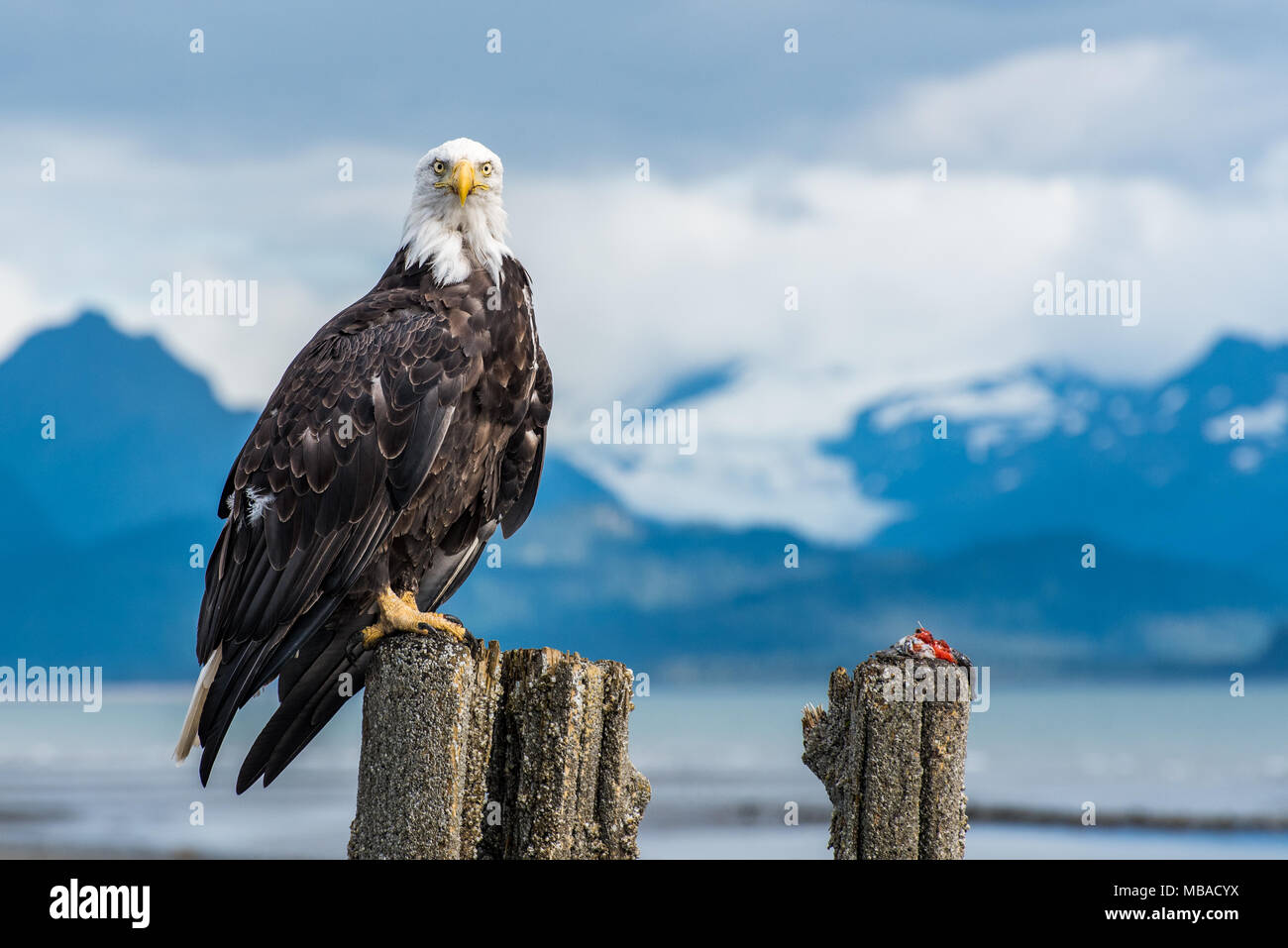 Eagle overlook hi-res stock photography and images - Alamy