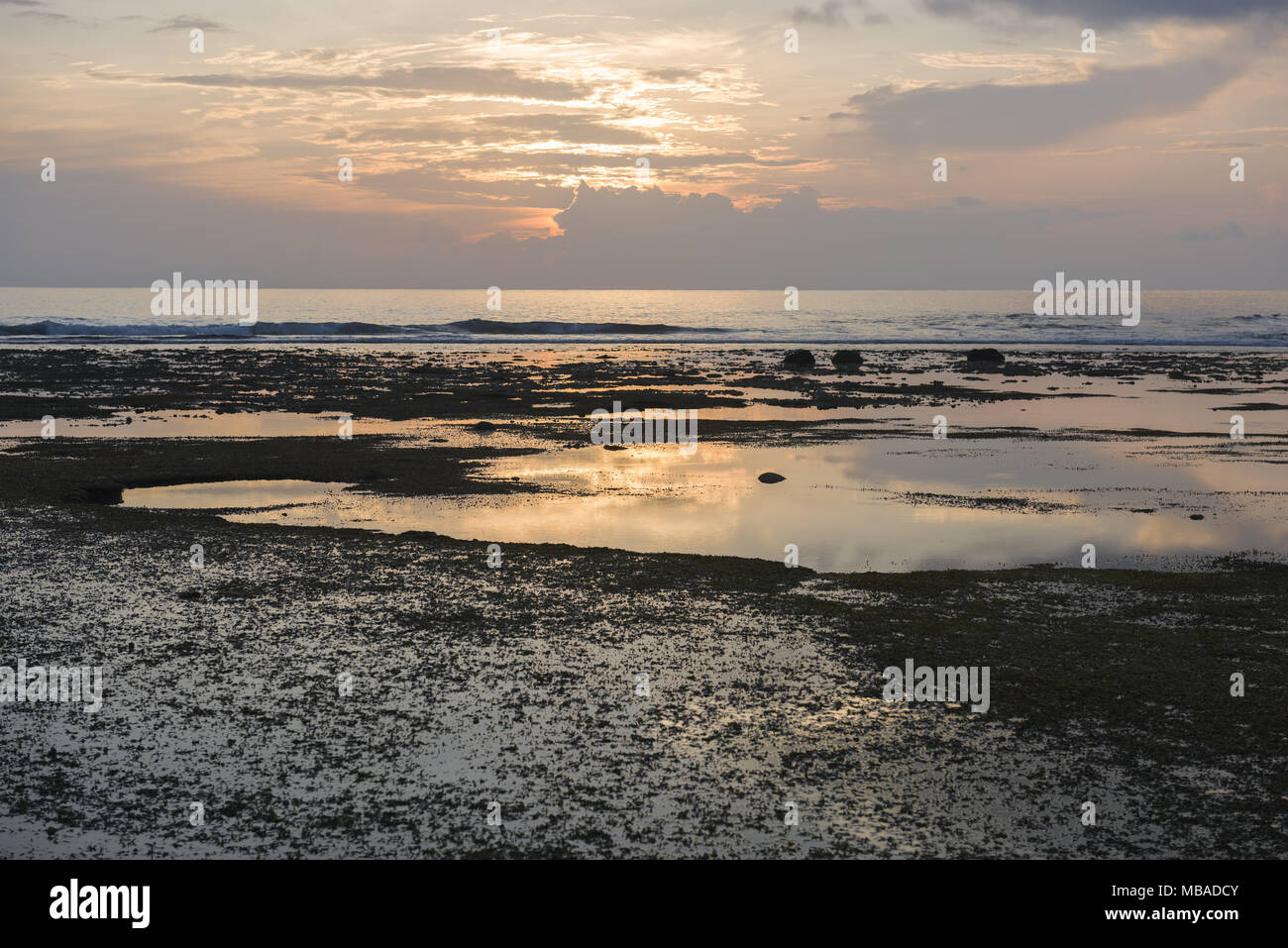 Littoral area hi-res stock photography and images - Alamy