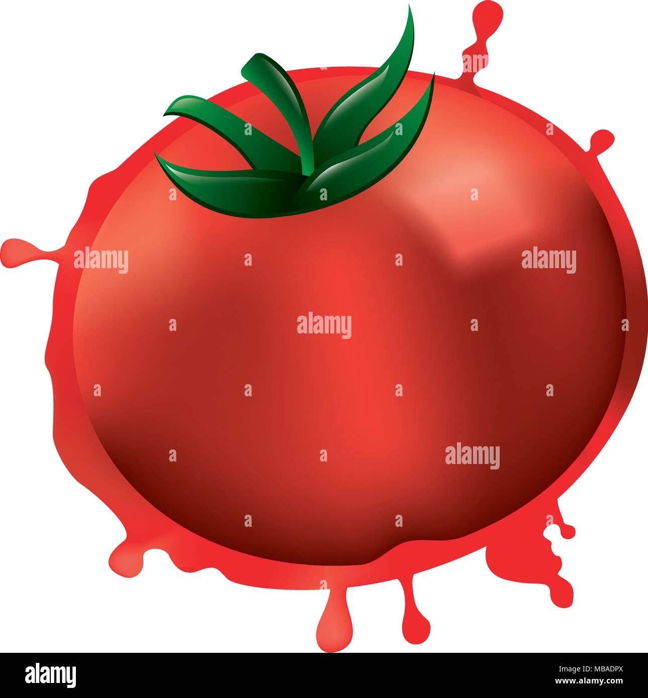 tomato crashed isolated icon Stock Vector Image & Art - Alamy