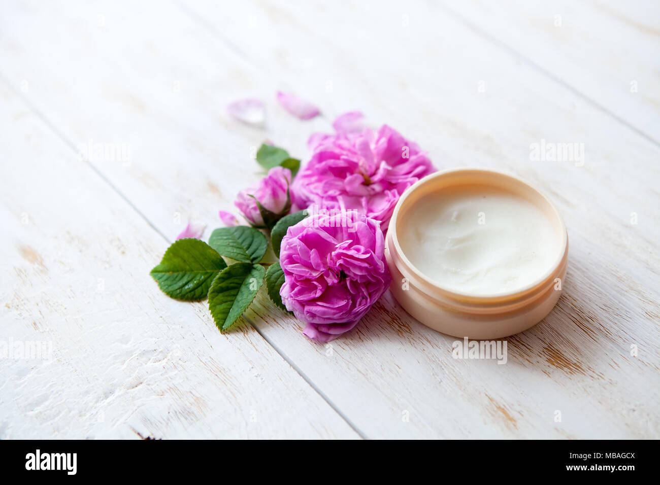 Spa concept with pot of moisturizing cream and beautiful pink roses ...
