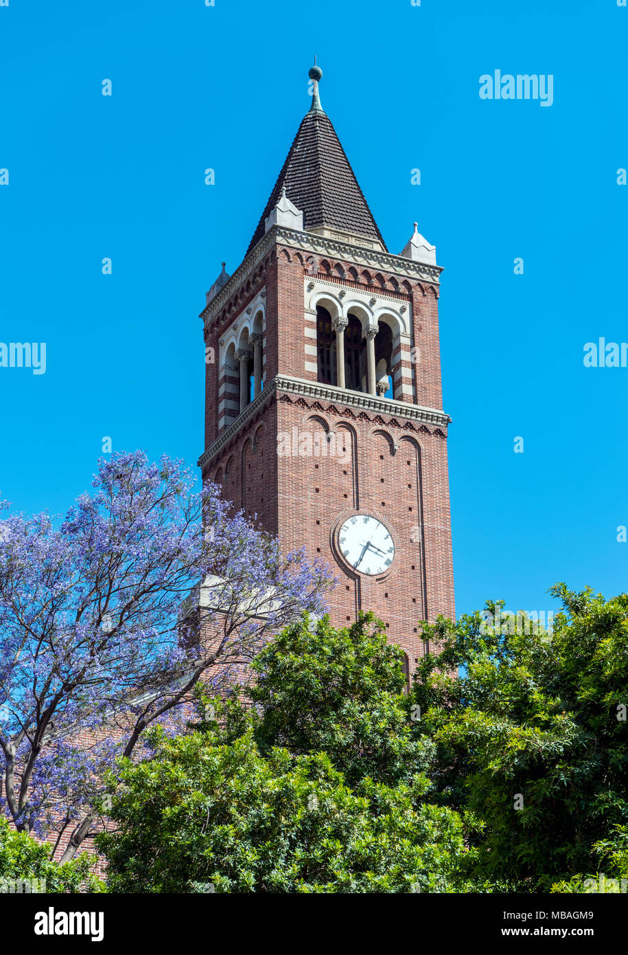 Clock tower, University of Southern California, Los Angeles Stock Photo ...