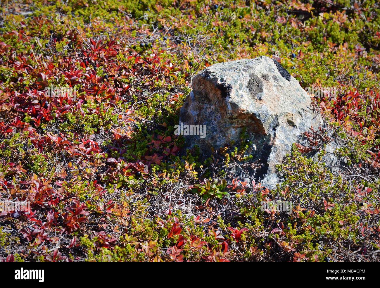 Colors, Shapes and Lines Oh My Stock Photo - Alamy