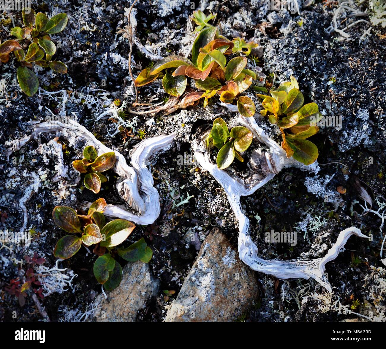 Colors, Shapes and Lines Oh My Stock Photo - Alamy