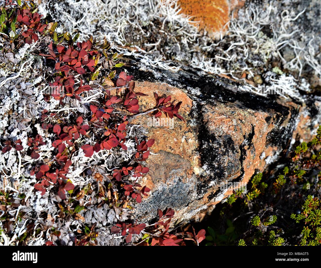 Colors, Shapes and Lines Oh My Stock Photo - Alamy