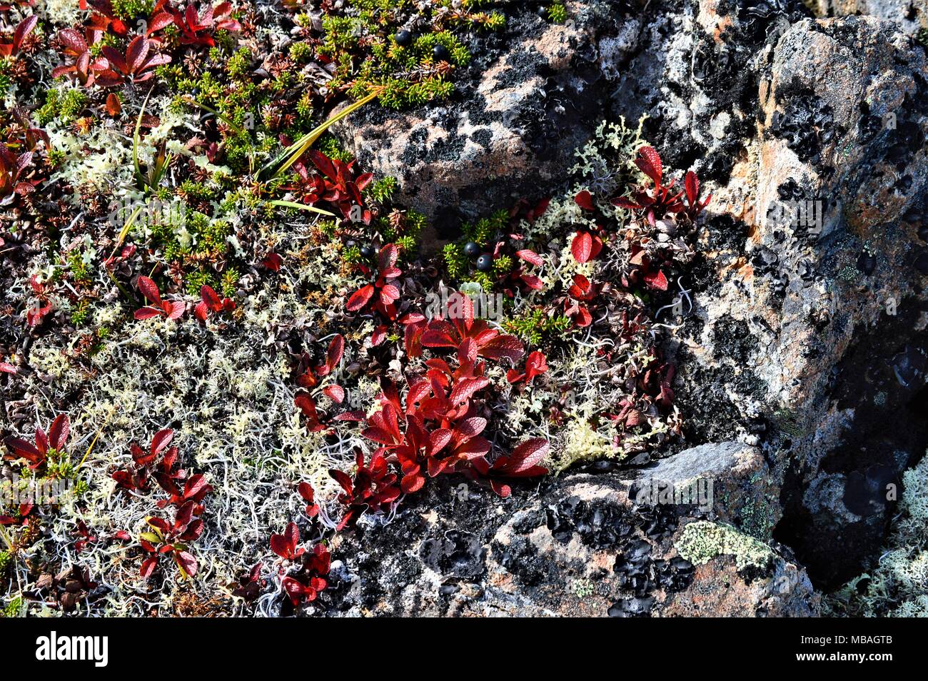 Colors, Shapes and Lines Oh My Stock Photo - Alamy