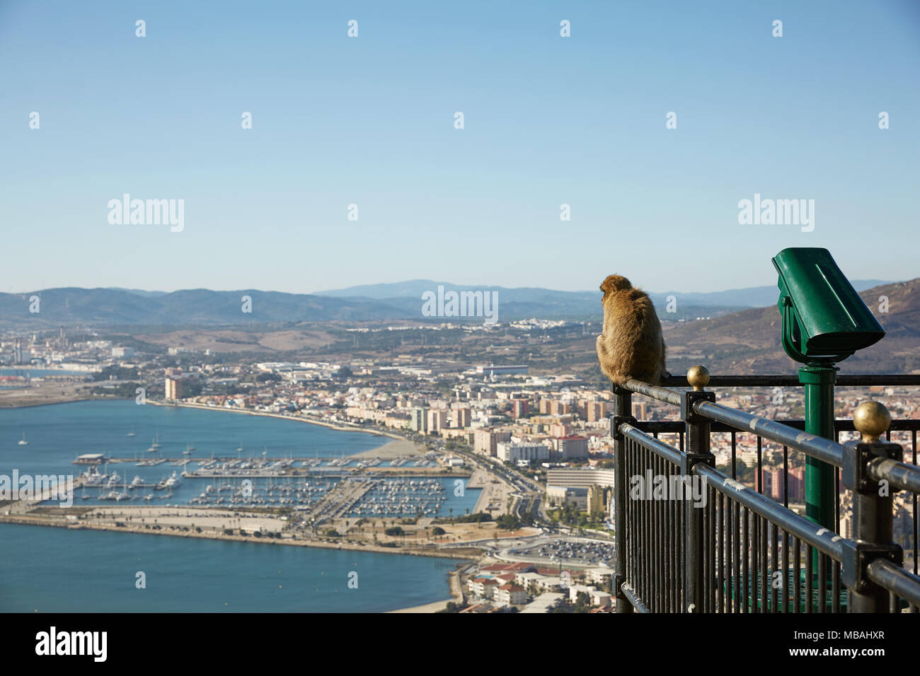 Population of monkeys hi-res stock photography and images - Alamy