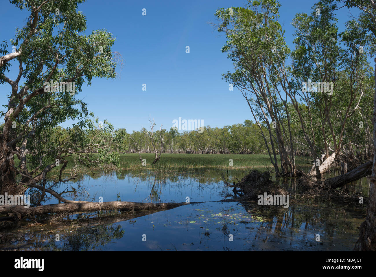 Tabletop Swamp in Litchfield National Park, Northern Territory ...