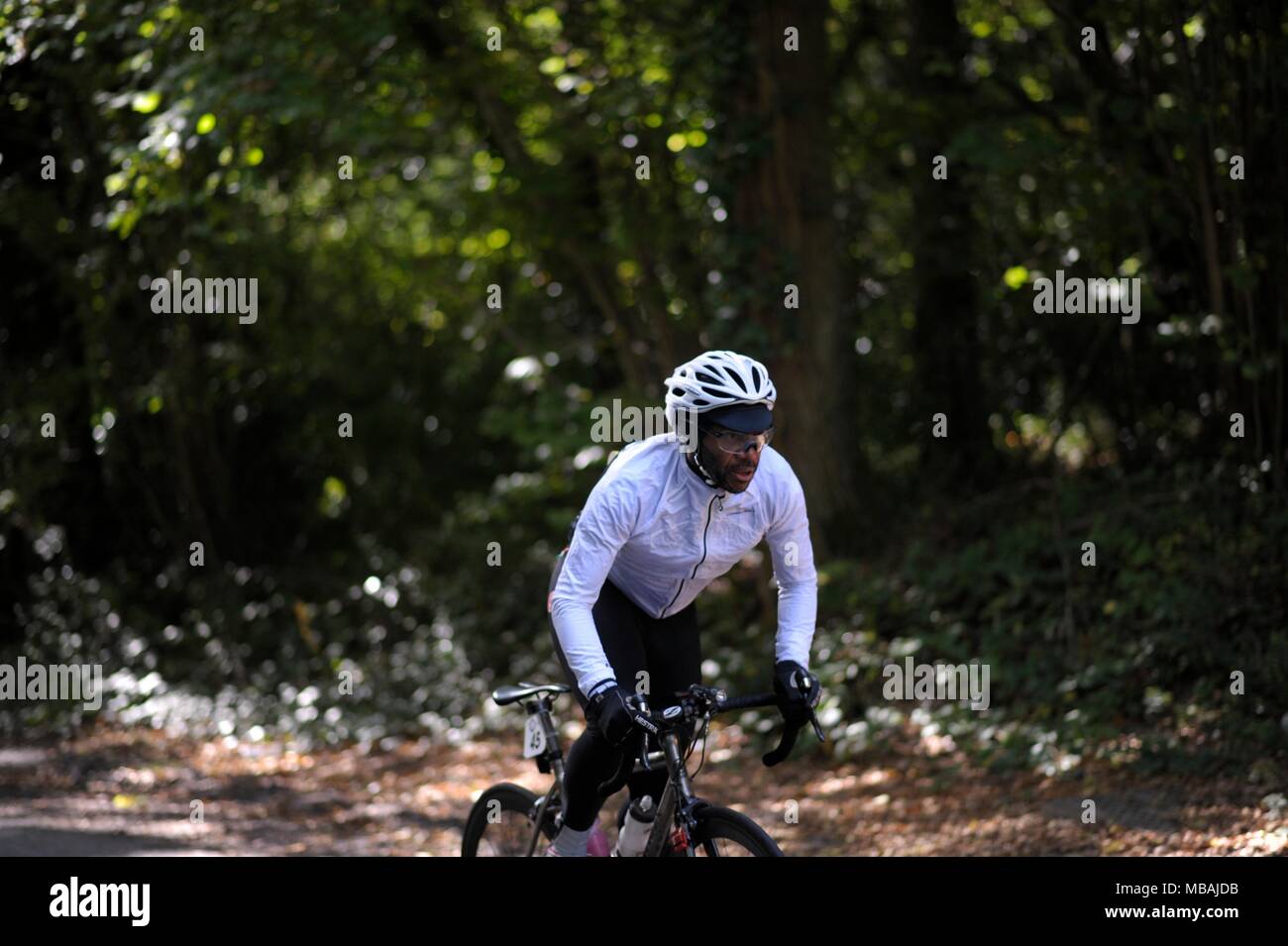 Group of cyclists on endurance road race Stock Photo - Alamy