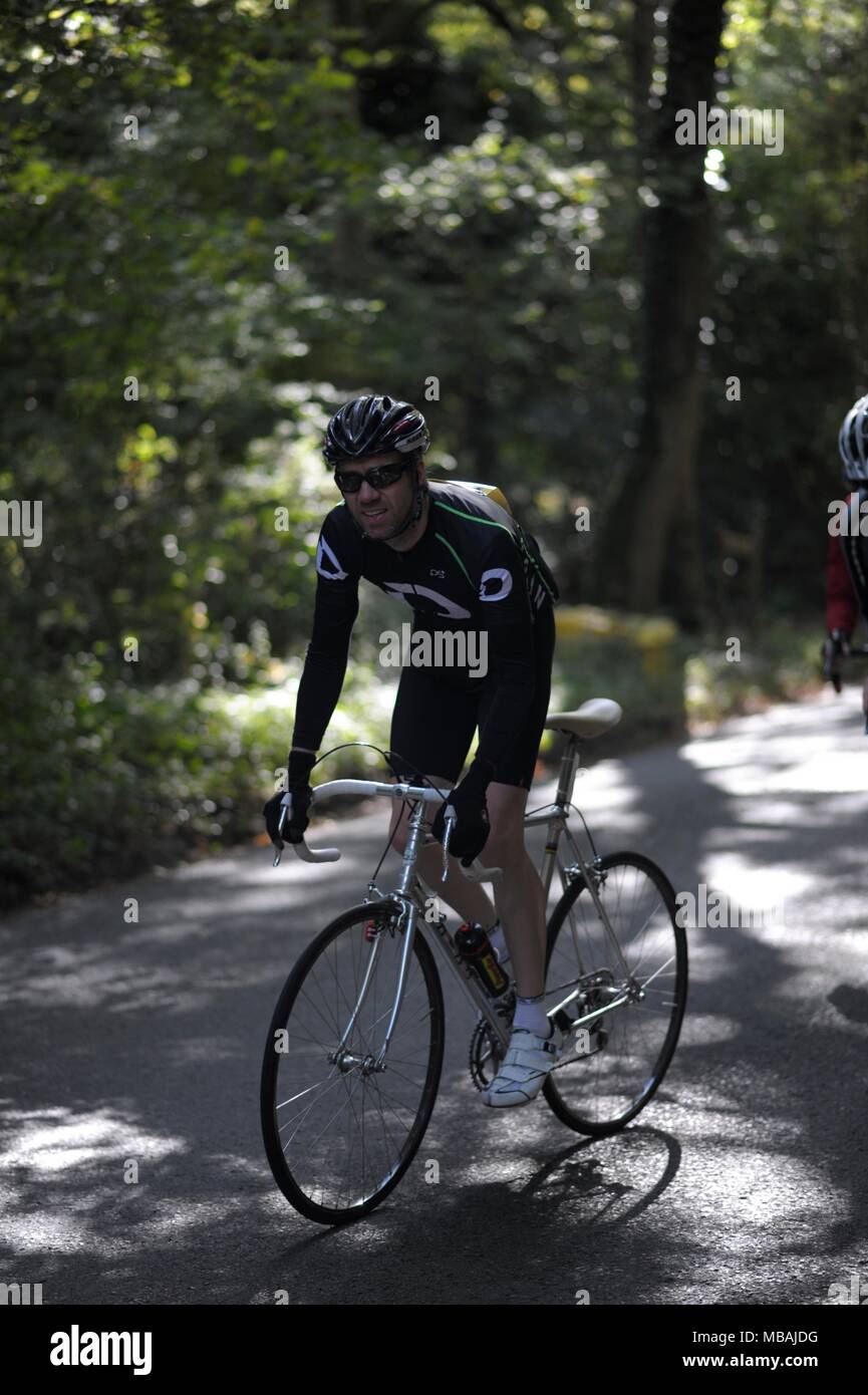 Group of cyclists on endurance road race Stock Photo - Alamy