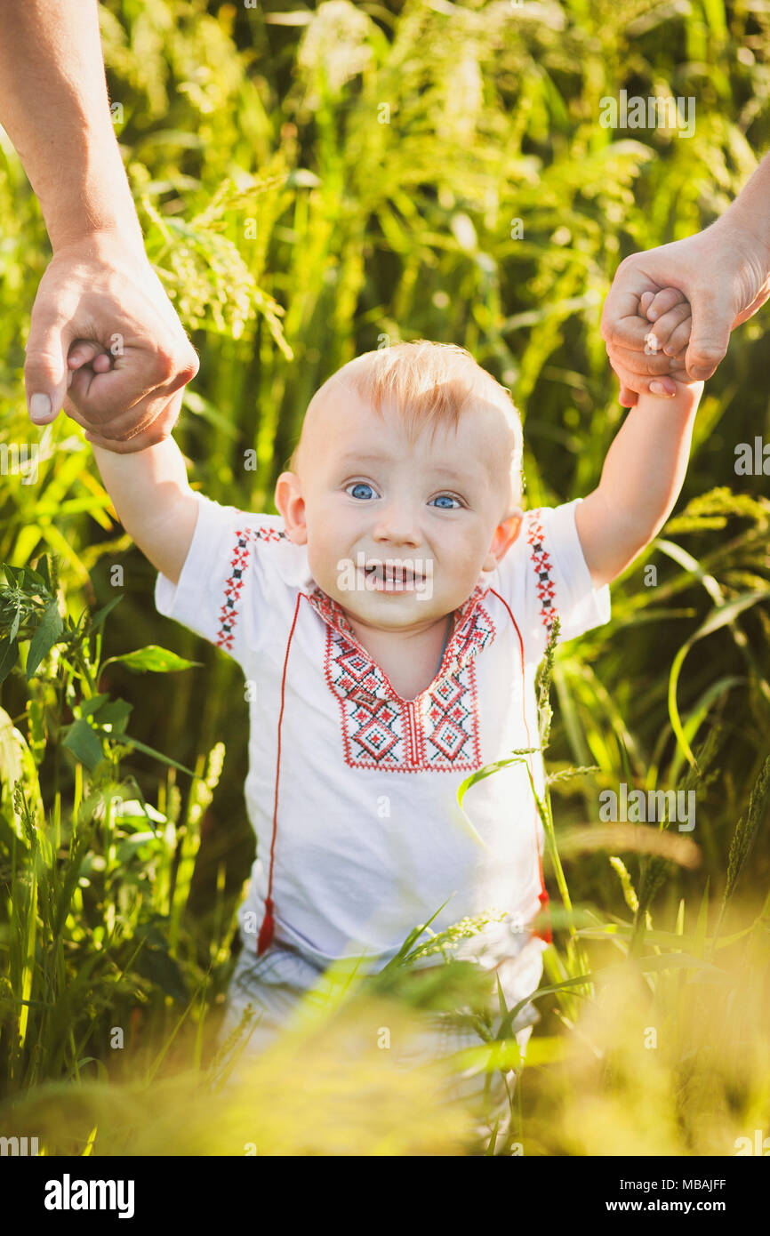 Green wheat newborn hi-res stock photography and images - Alamy
