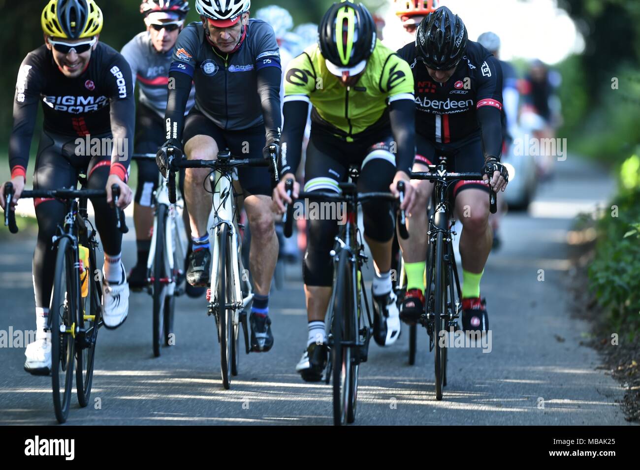 Group of cyclists on endurance road race Stock Photo - Alamy