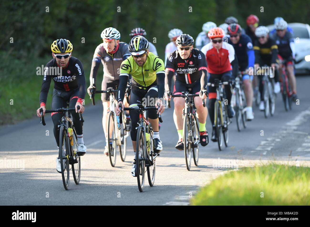 Group of cyclists on endurance road race Stock Photo - Alamy
