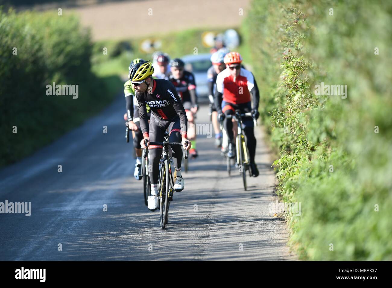 Group of cyclists on endurance road race Stock Photo - Alamy
