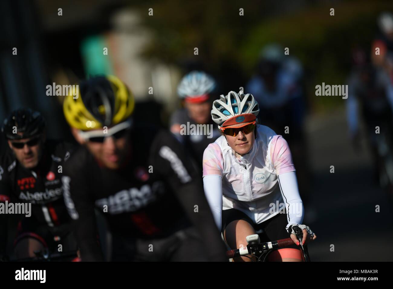 Group of cyclists on endurance road race Stock Photo - Alamy