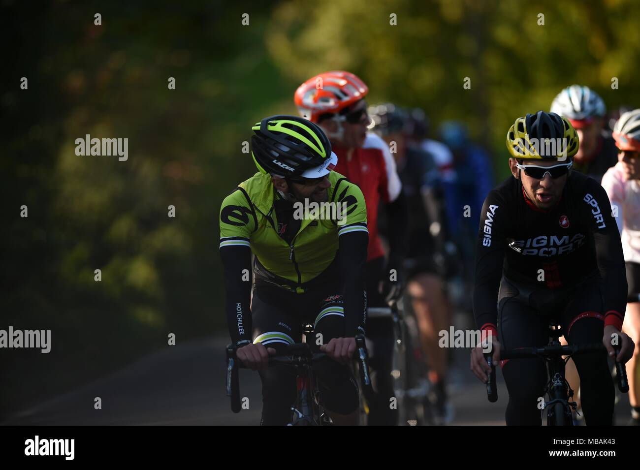 Group of cyclists on endurance road race Stock Photo - Alamy