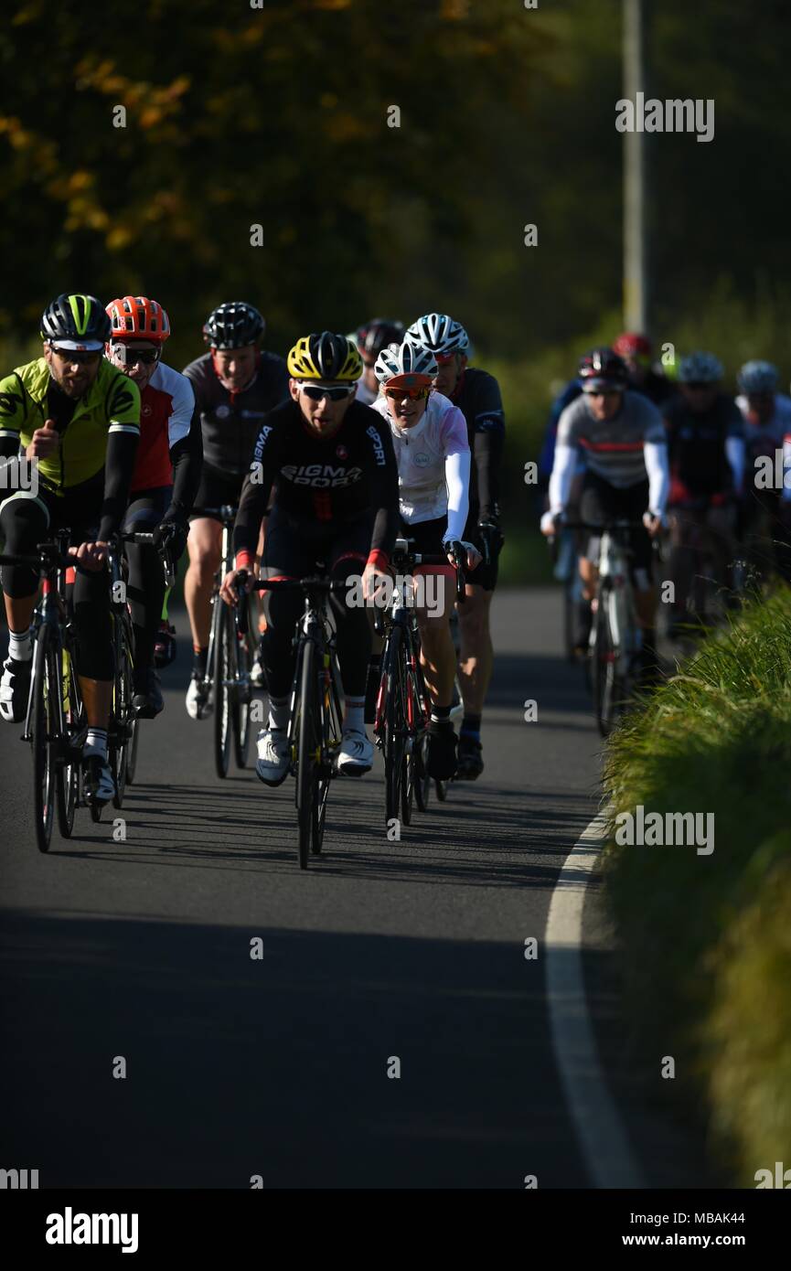 Group of cyclists on endurance road race Stock Photo - Alamy