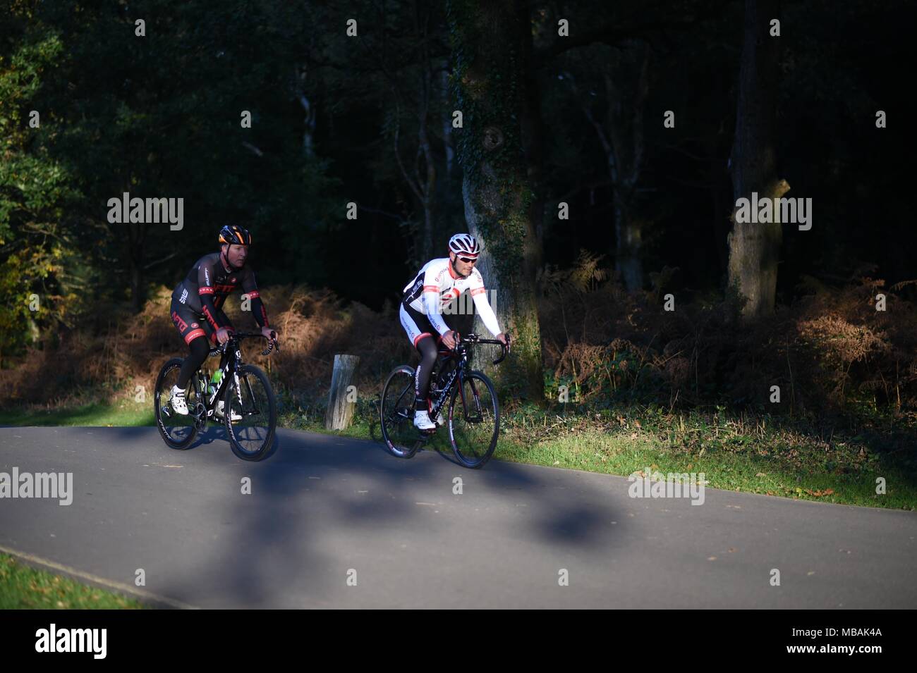 Group of cyclists on endurance road race Stock Photo - Alamy