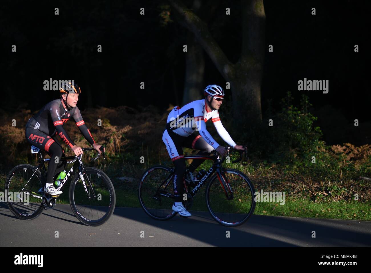 Group of cyclists on endurance road race Stock Photo - Alamy