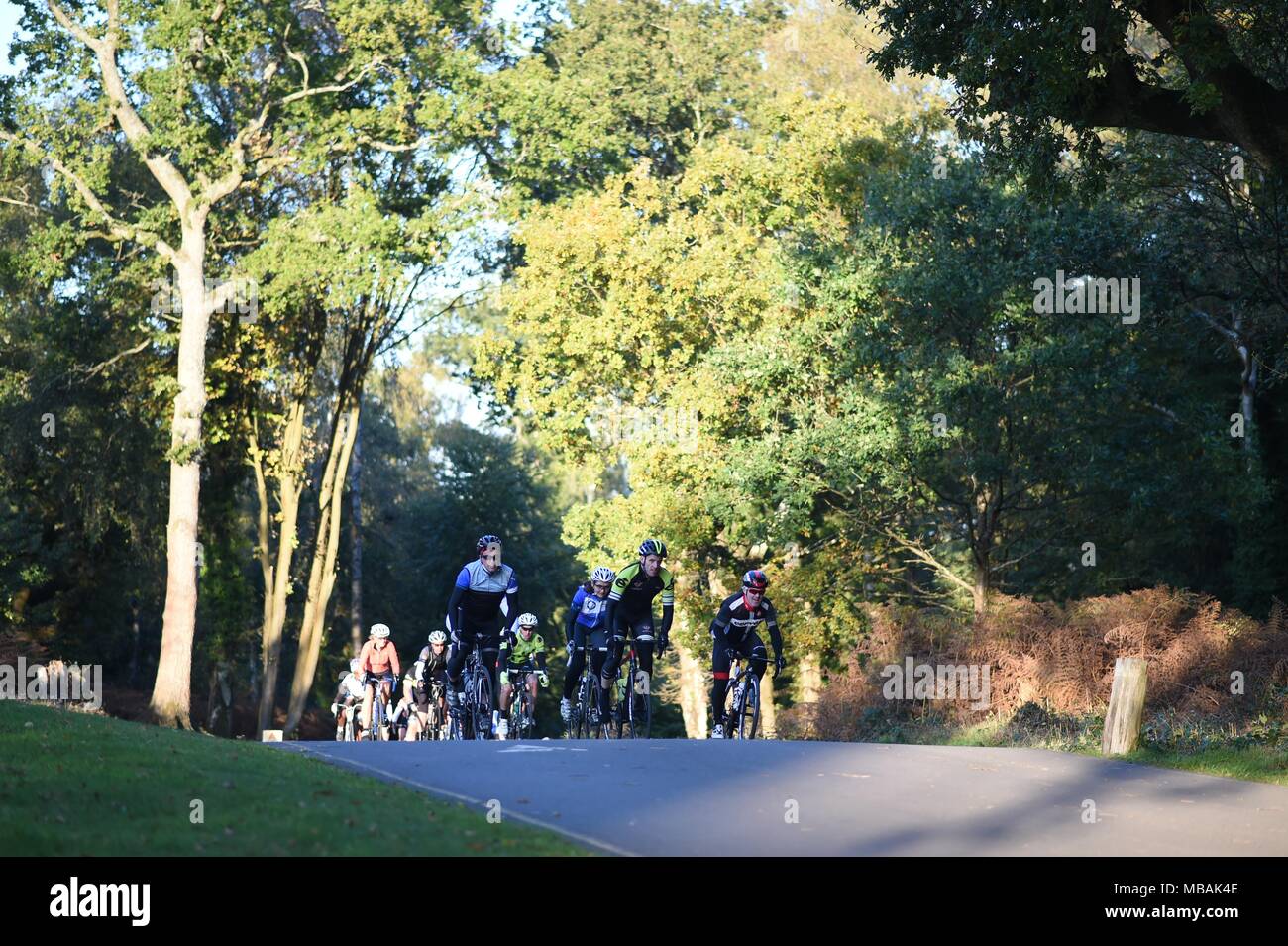 Group of cyclists on endurance road race Stock Photo - Alamy