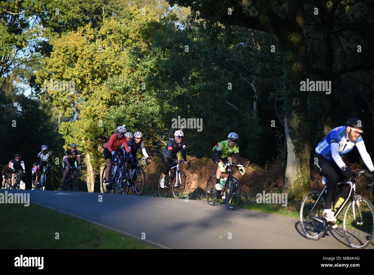 Group of cyclists on endurance road race Stock Photo - Alamy