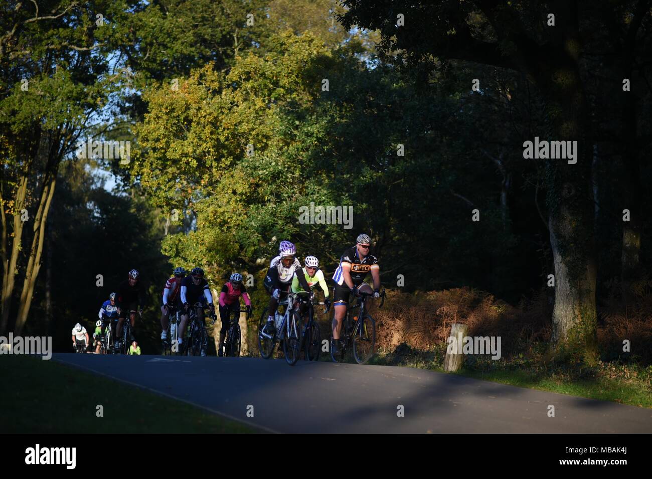 Group of cyclists on endurance road race Stock Photo - Alamy