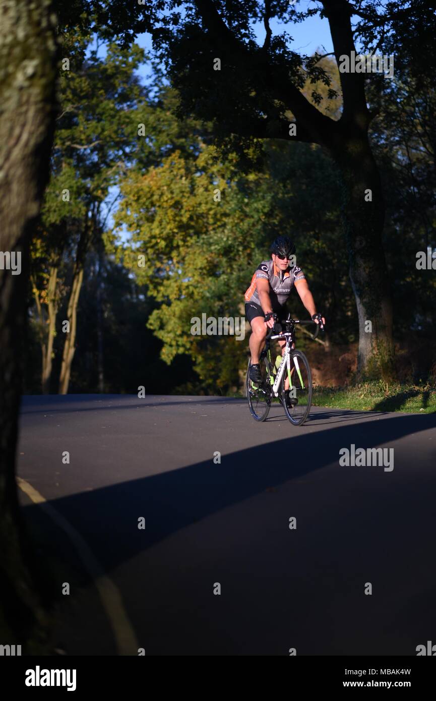 Group of cyclists on endurance road race Stock Photo - Alamy