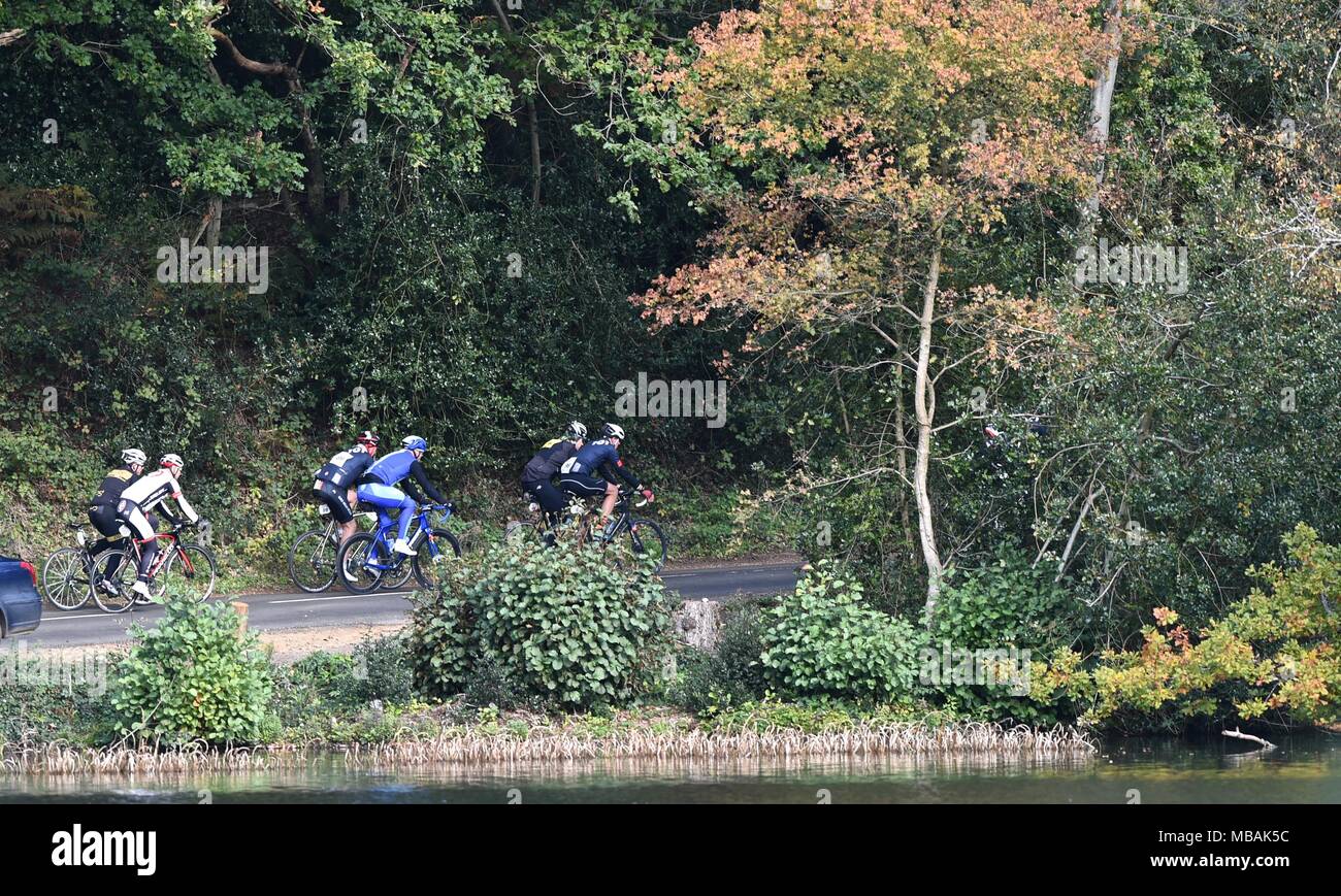 Group of cyclists on endurance road race Stock Photo - Alamy