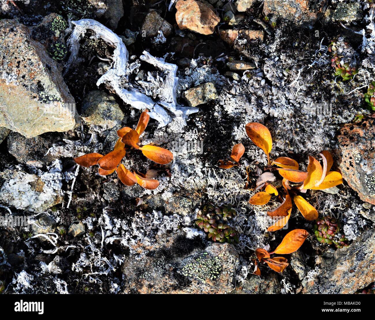 Colors, Shapes and Lines Oh My Stock Photo - Alamy