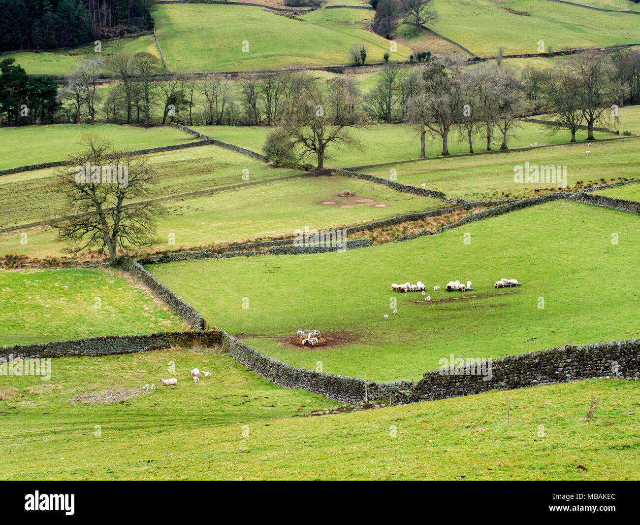 Nidderdale from Wath Road near Pateley Bridge North Yorkshire England ...