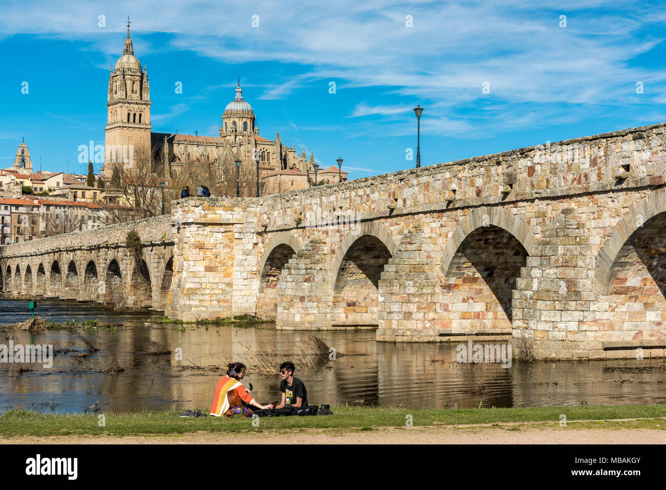 Roman bridge with the Cathedral in the background, Salamanca, Castile ...