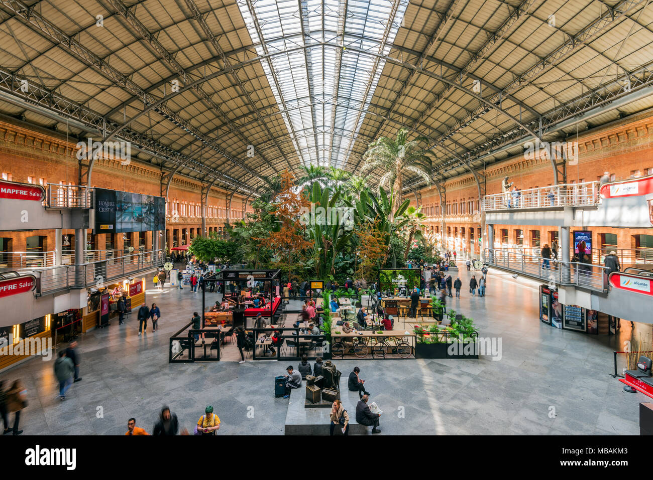 Interior plaza in the old Atocha railway station, Madrid, Community of Madrid, Spain Stock Photo ...