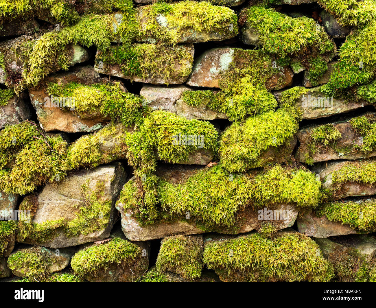 Mossy stone wall hi-res stock photography and images - Alamy
