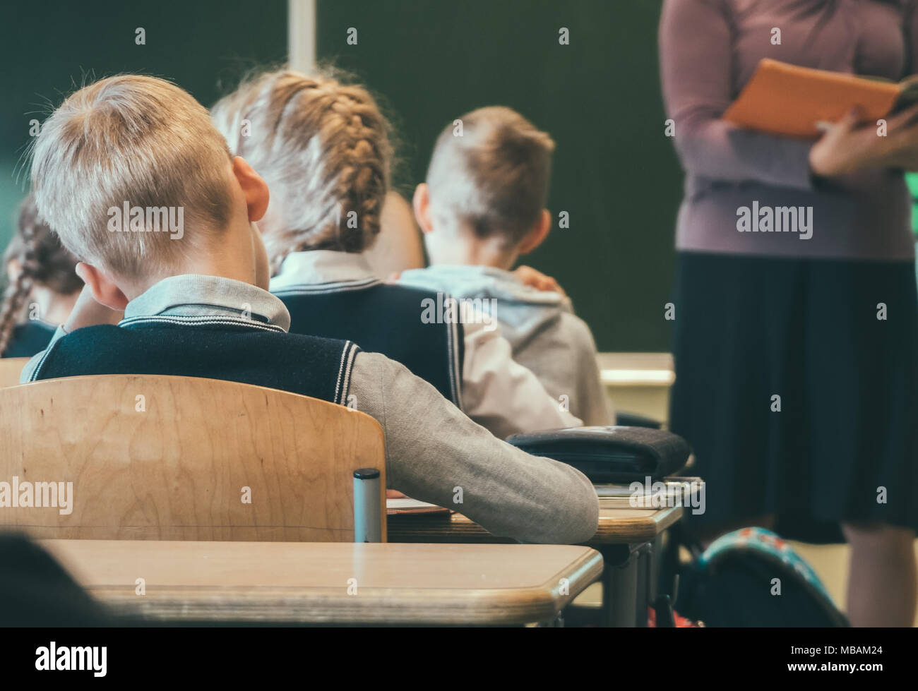Children and teacher in class at school. Back view Stock Photo - Alamy